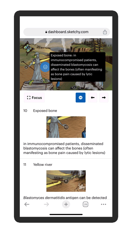 Mobile Updates!