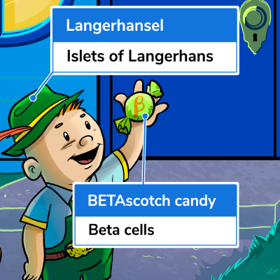 How to Remember Everything About Insulin with Sketchy MCAT