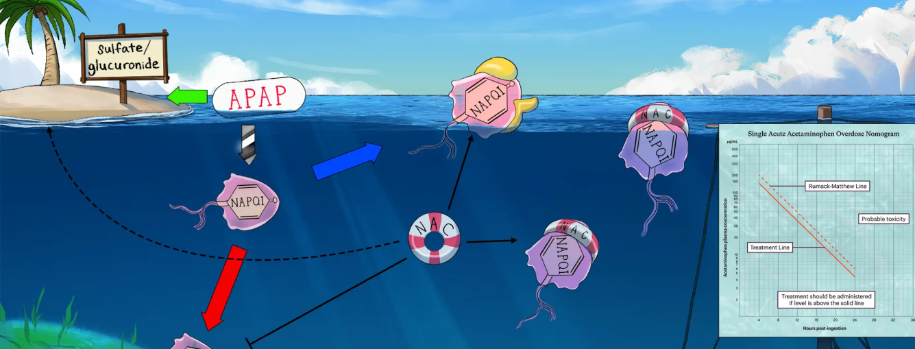 Residency Match Day 2023: What You Need to Know About The Match Rate ...